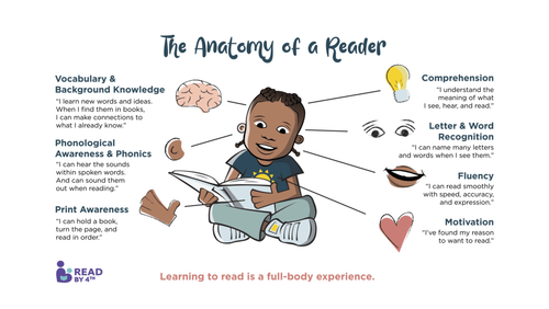 The Anatomy of a Reader: This Simple Graphic Will Change How You See ...