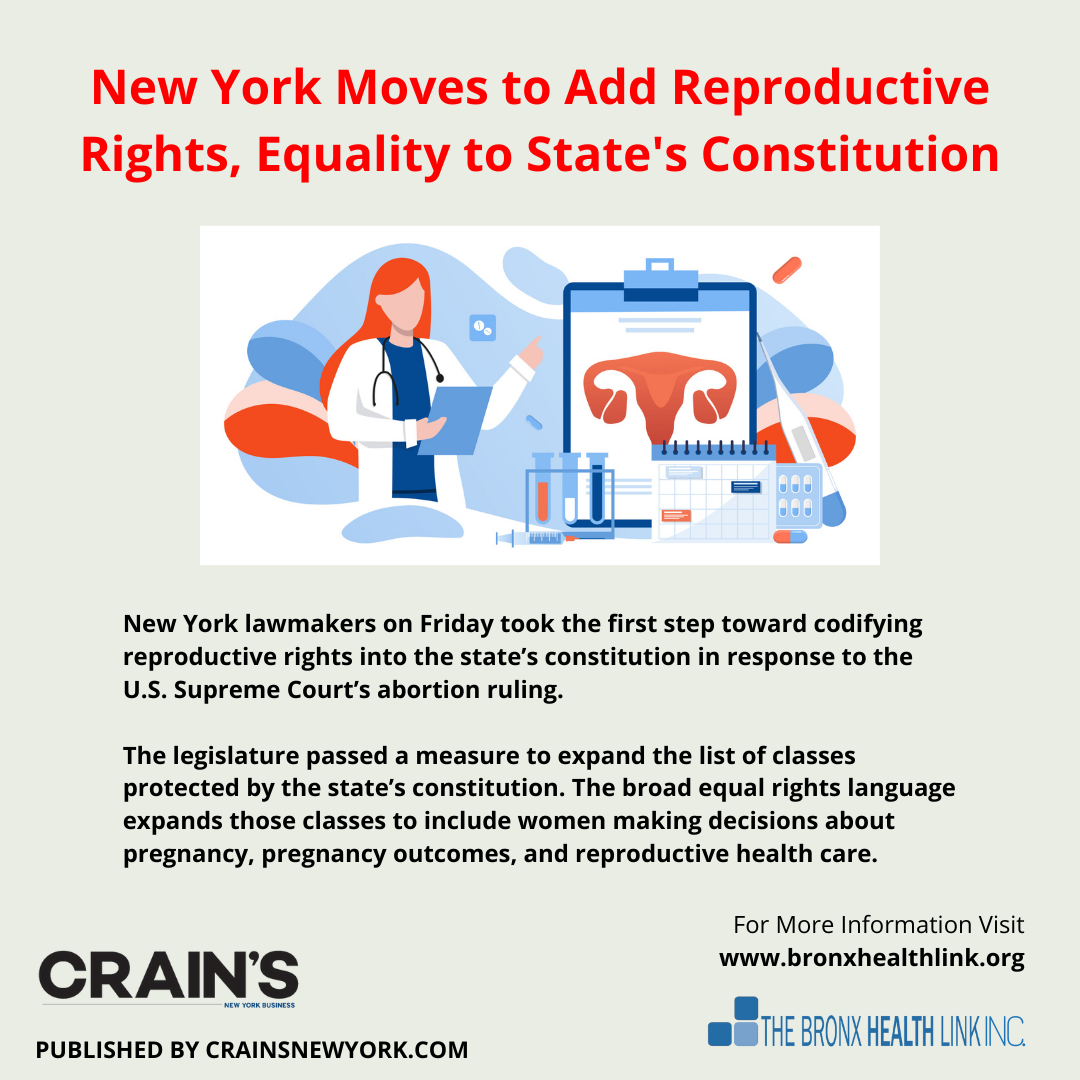 Blog 3 — The Bronx Health Link