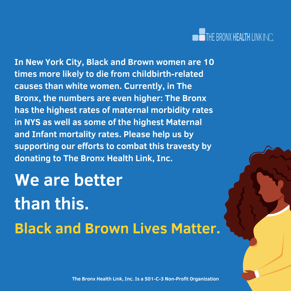 The Bronx Health Link
