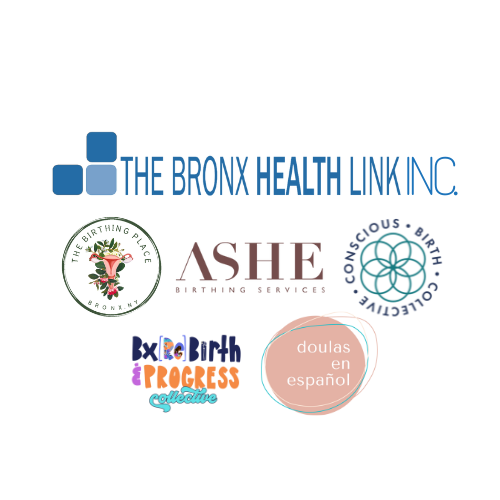 Talleres Perinatales — The Bronx Health Link