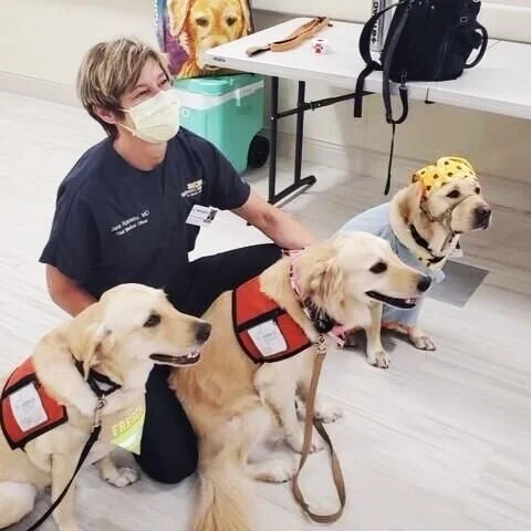 Apply for a Service Dog — Service Dogs, Inc.