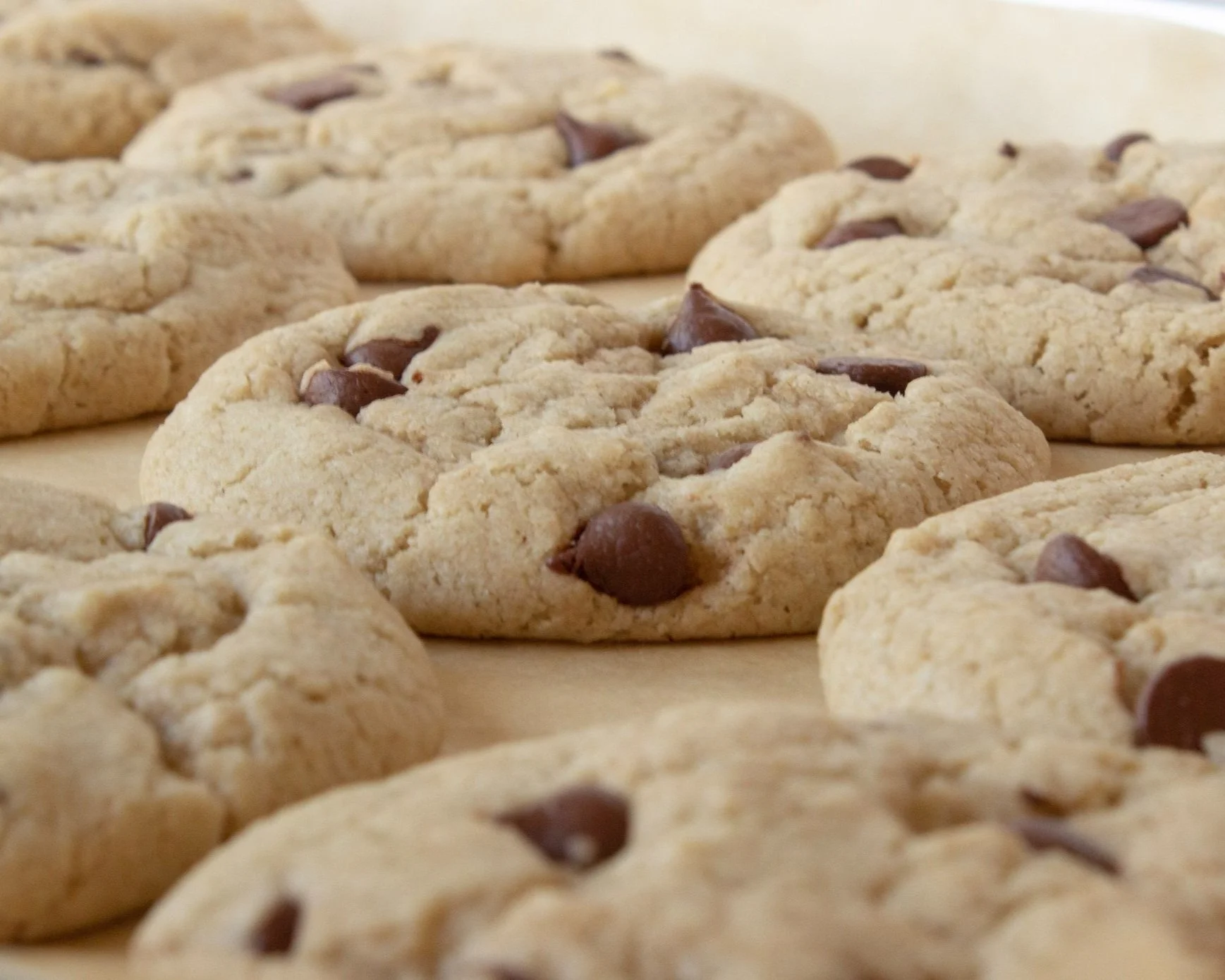 Certified Vegan & Gluten Free Baking Mixes | Chelsea Approved