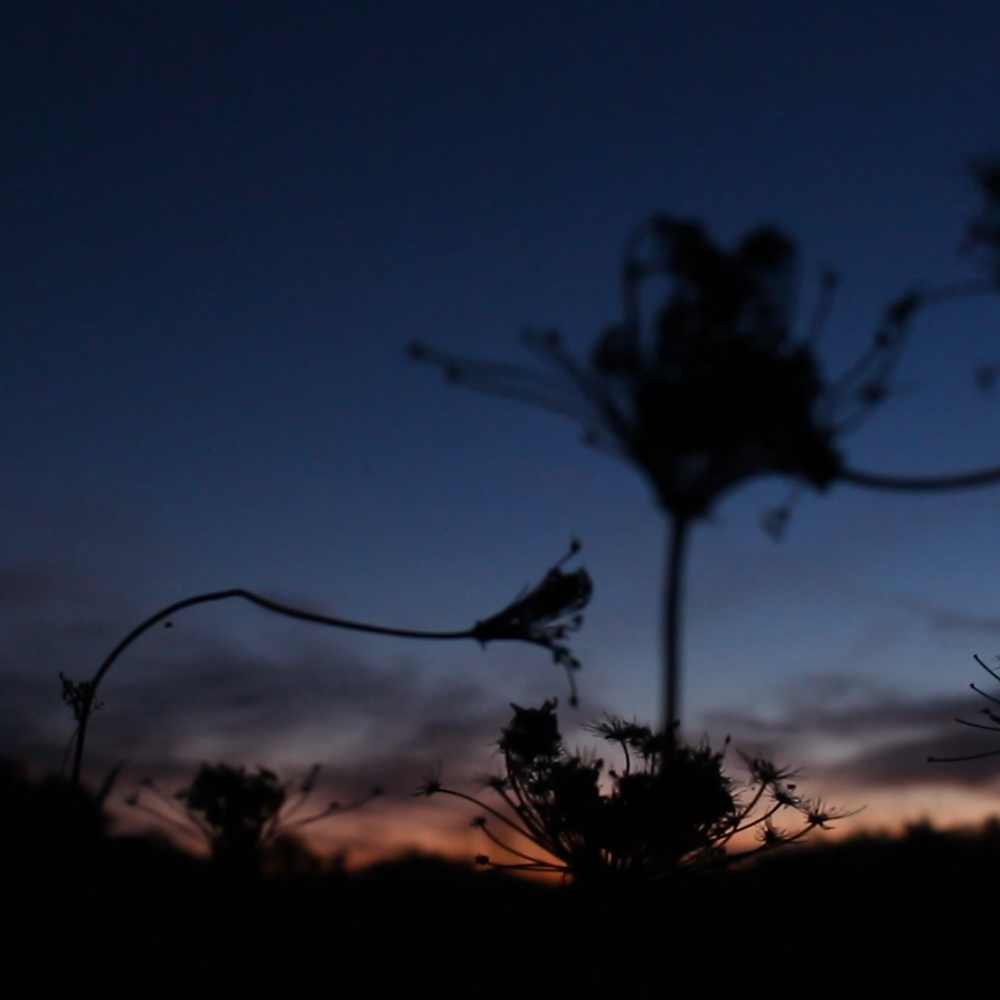 Contact — Alexander Panos