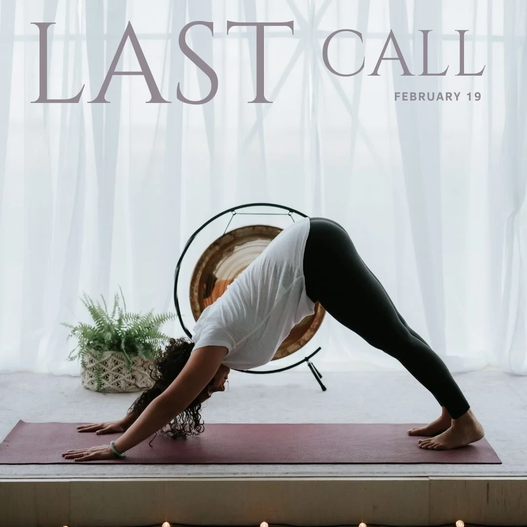 Kailee Smith - Elevated Feminine Healing