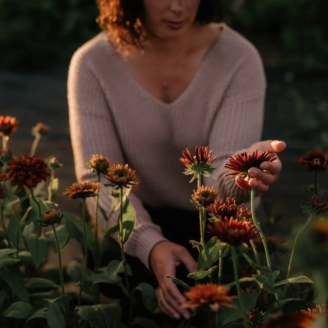 Kailee Smith - Elevated Feminine Healing