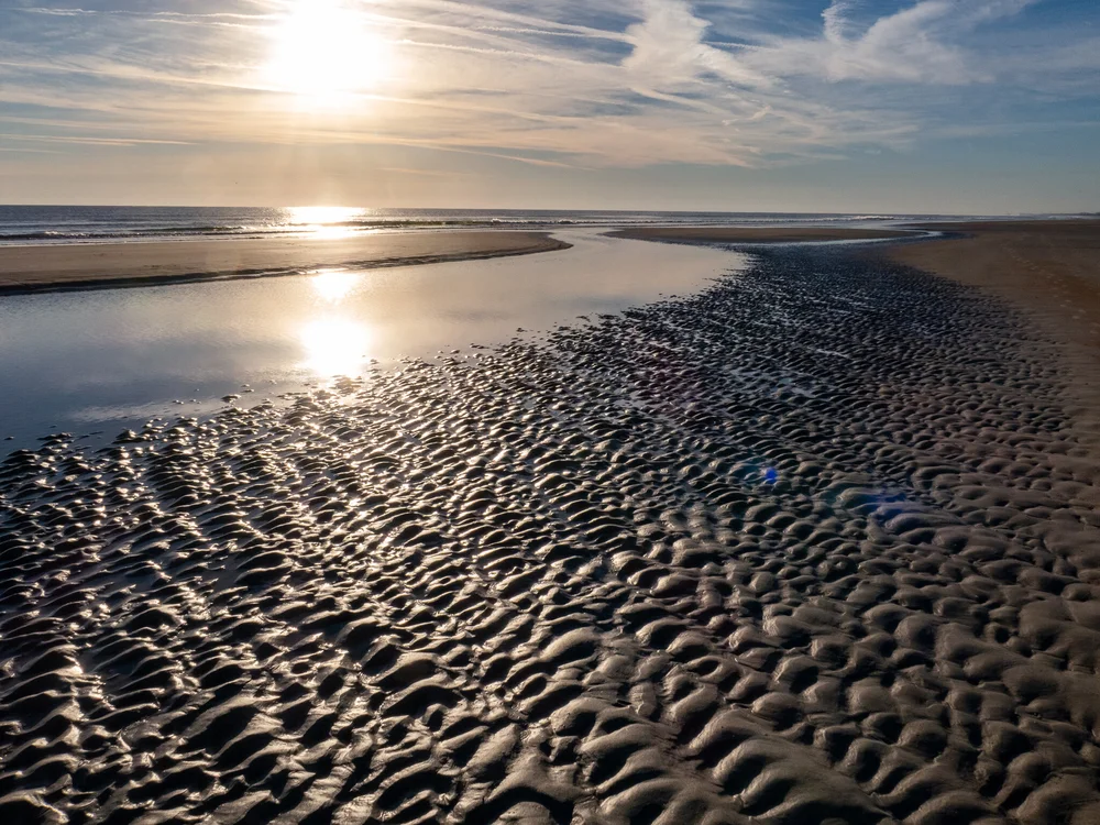 About — Ask Ivo with Lisa Dorr