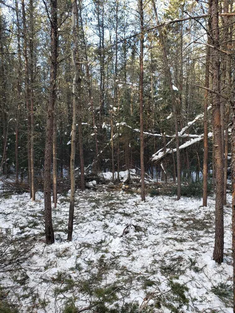 Firesmart | Saskatchewan First Nations Emergency Management