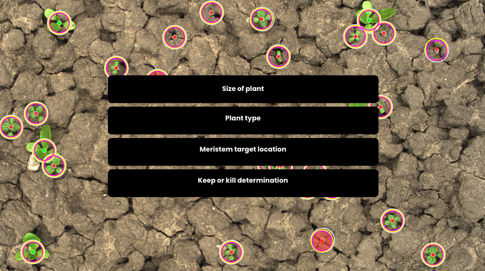 Carbon AI | Innovate Your Agriculture — Carbon Robotics