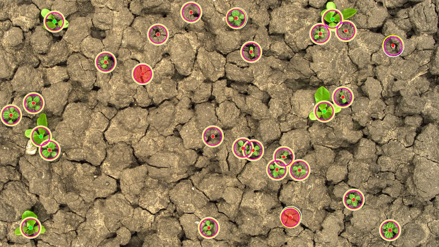 Carbon AI | Innovate Your Agriculture — Carbon Robotics