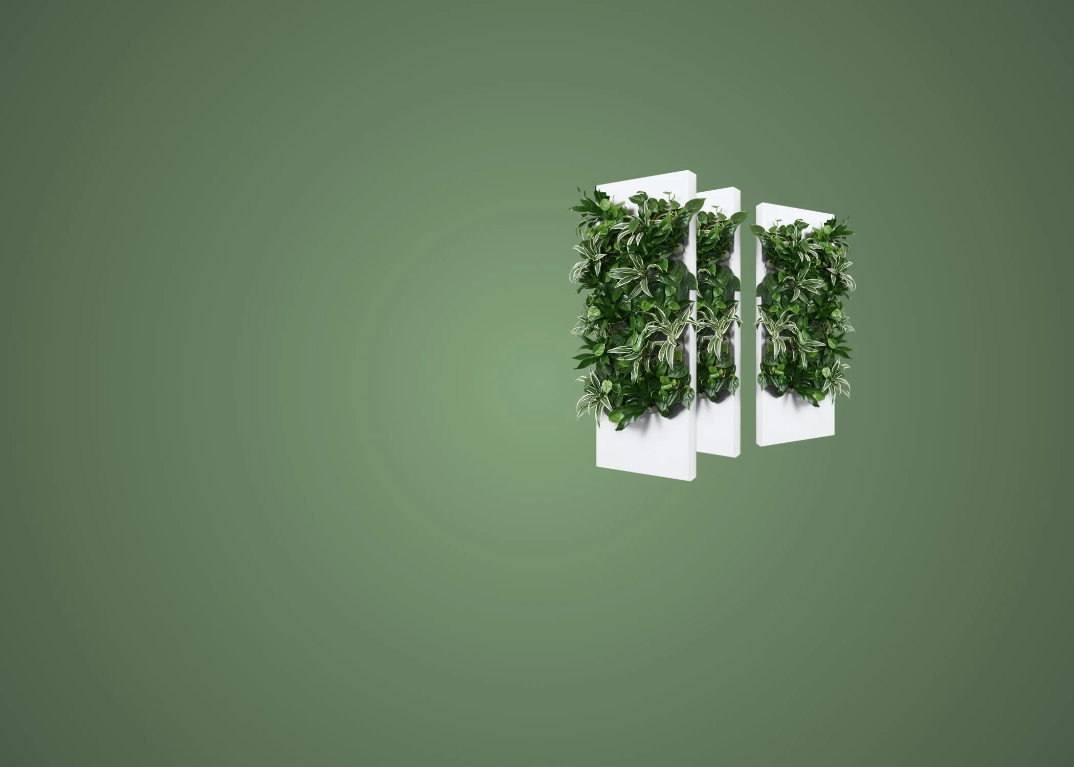 Smart, Maintenance-Free Plant Walls for Office | BIOME