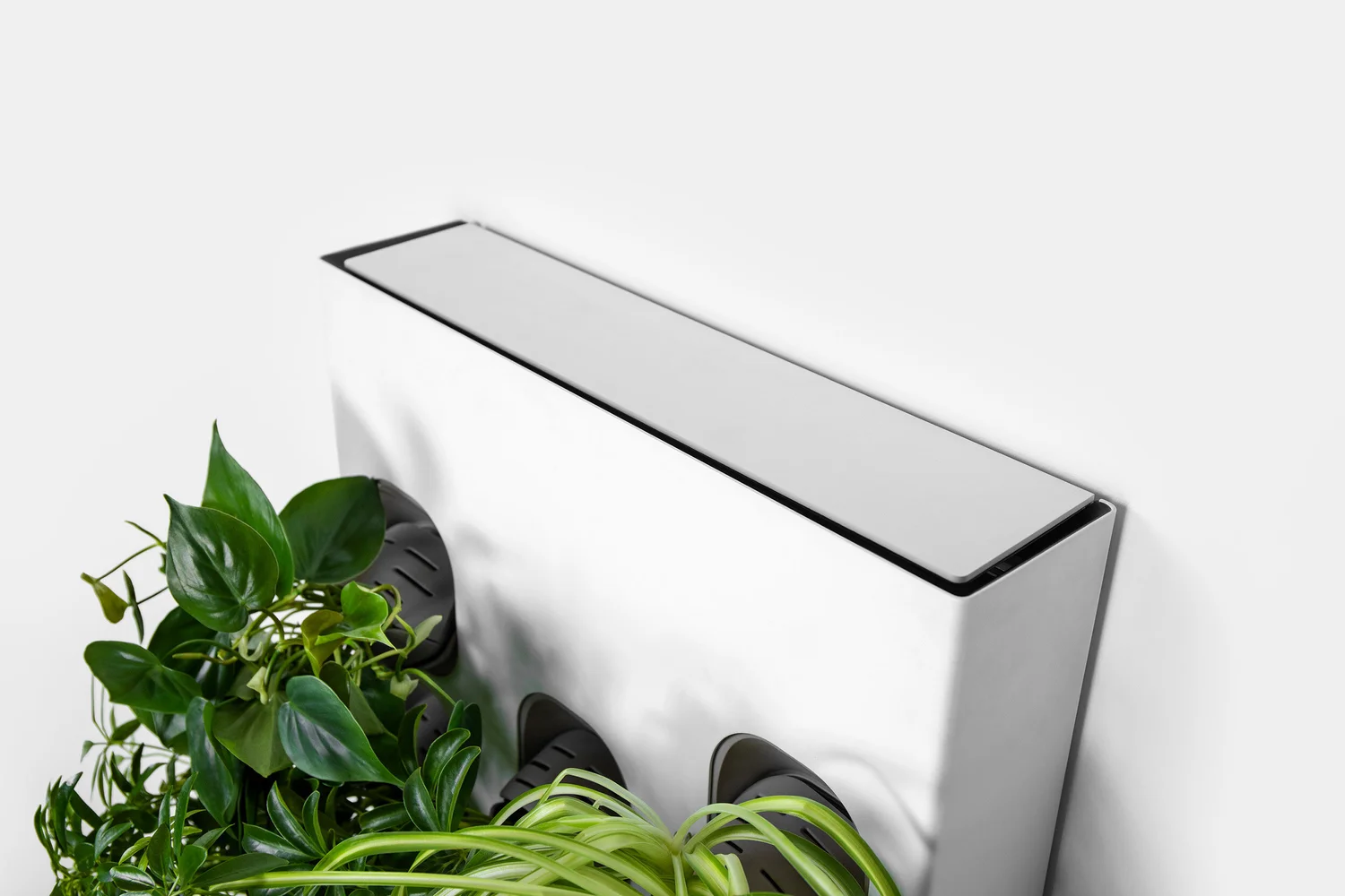 Smart, Maintenance-Free Plant Walls for Office | BIOME