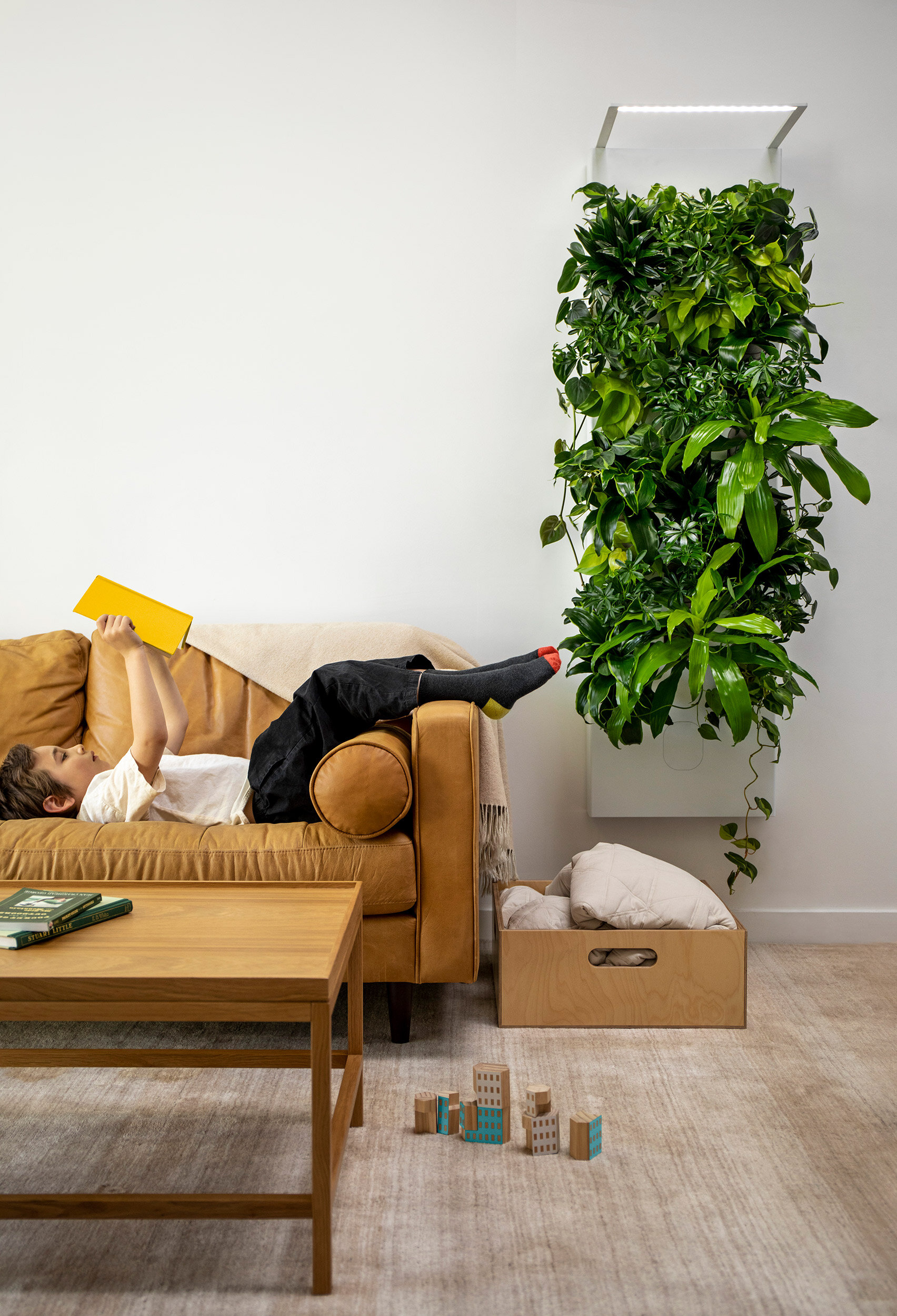 Smart, Maintenance-Free Plant Walls for Office | BIOME
