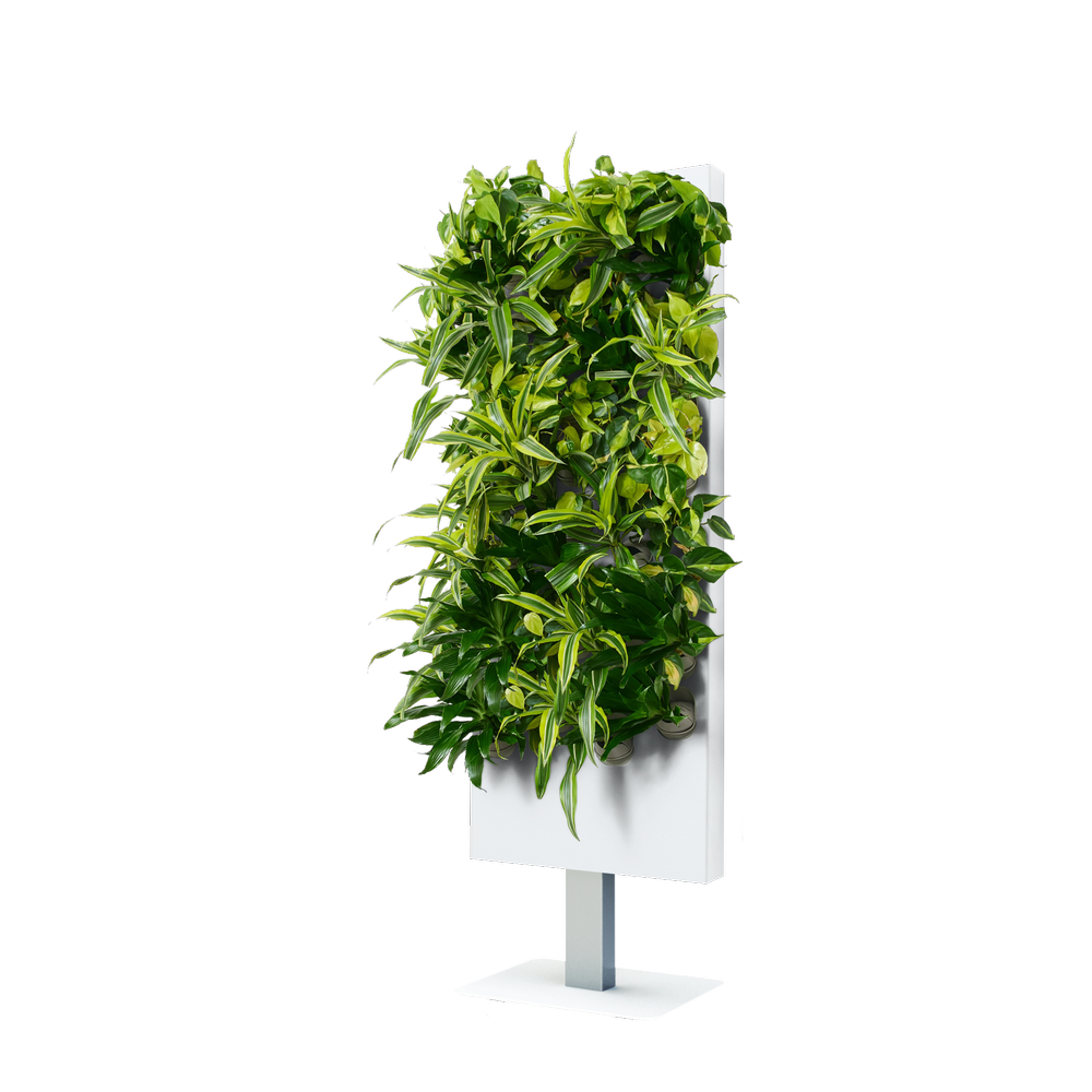 Smart, Maintenance-Free Plant Walls for Office | BIOME