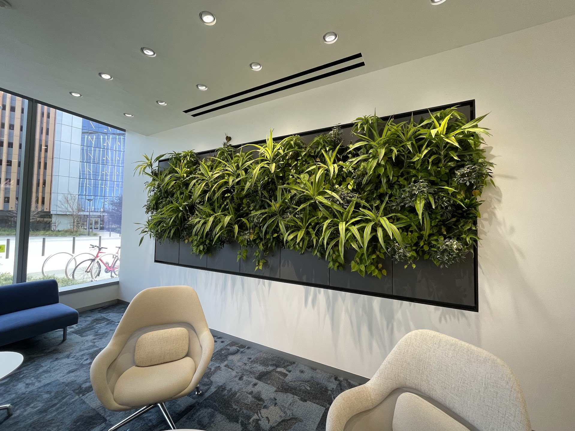 Smart, Maintenance-Free Plant Walls for Office | BIOME