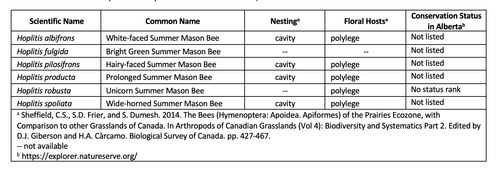 Megachilidae (mason and leaf cutter bees) — Alberta Native Bee Council