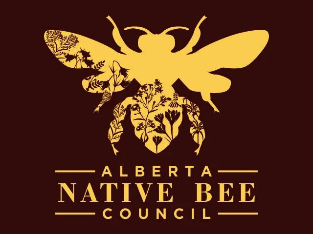 Alberta's Native Bees — Alberta Native Bee Council