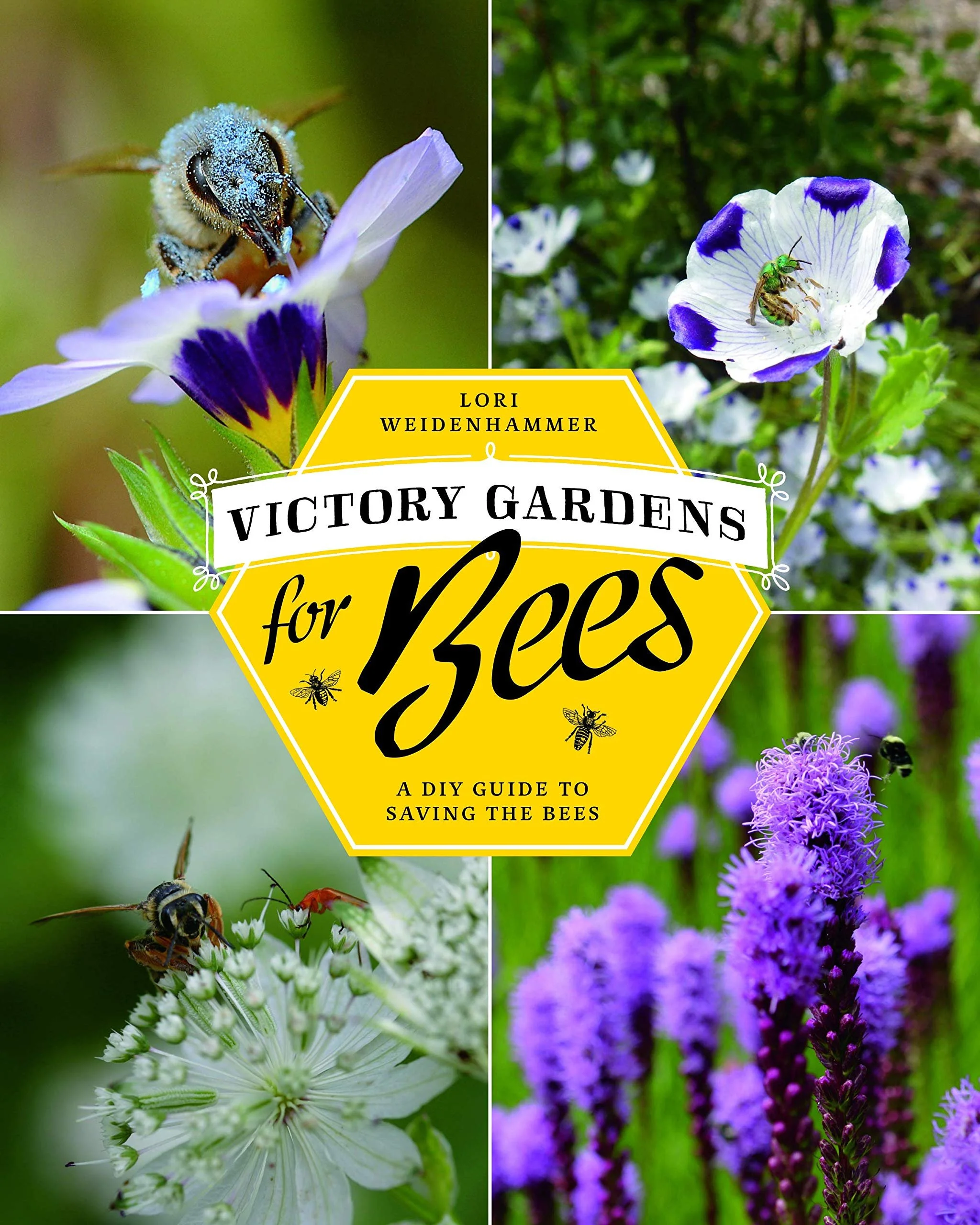 Our Top 10 Book Suggestions If You Want to Learn About Bees and How to ...