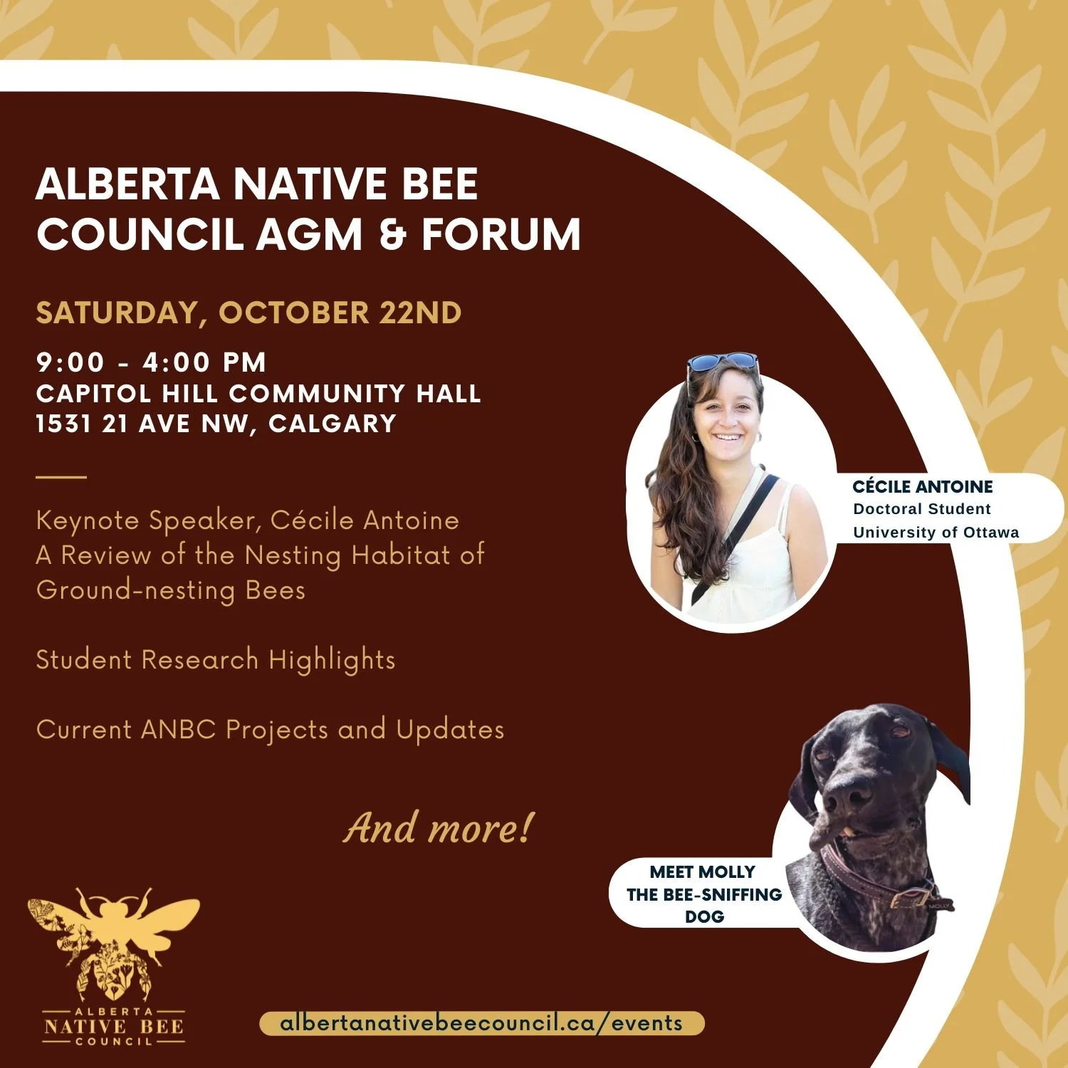 Alberta Native Bee Council