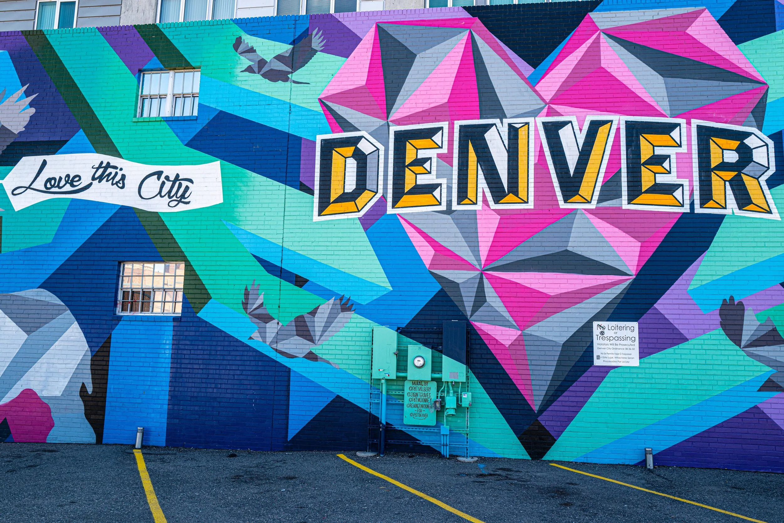 Denver Basic Income Project