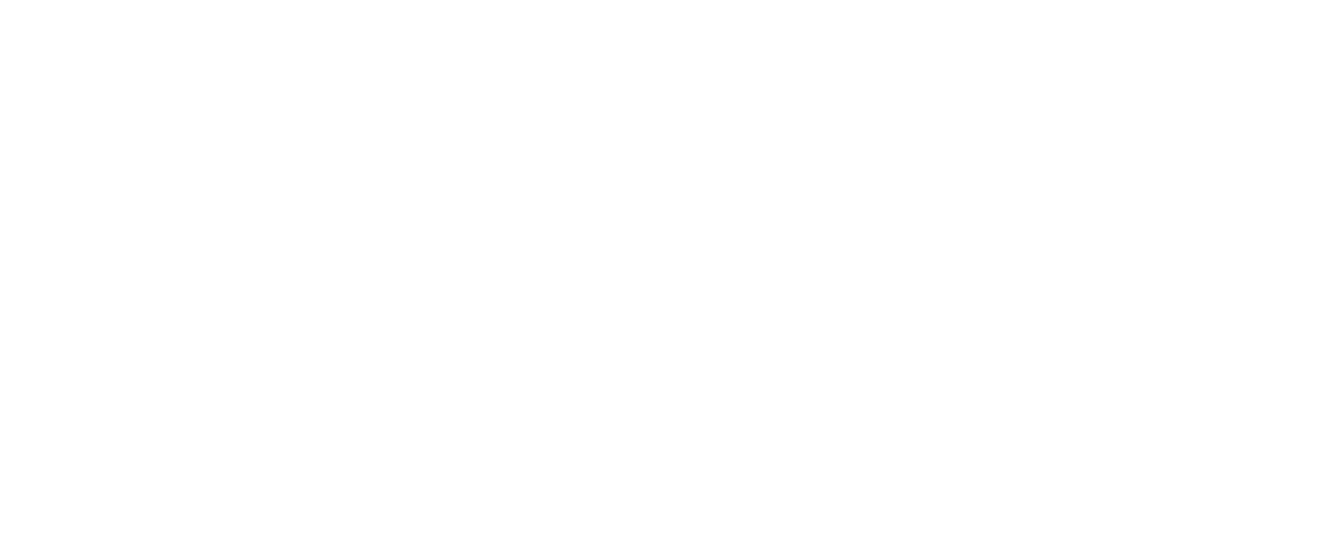 Denver Basic Income Project