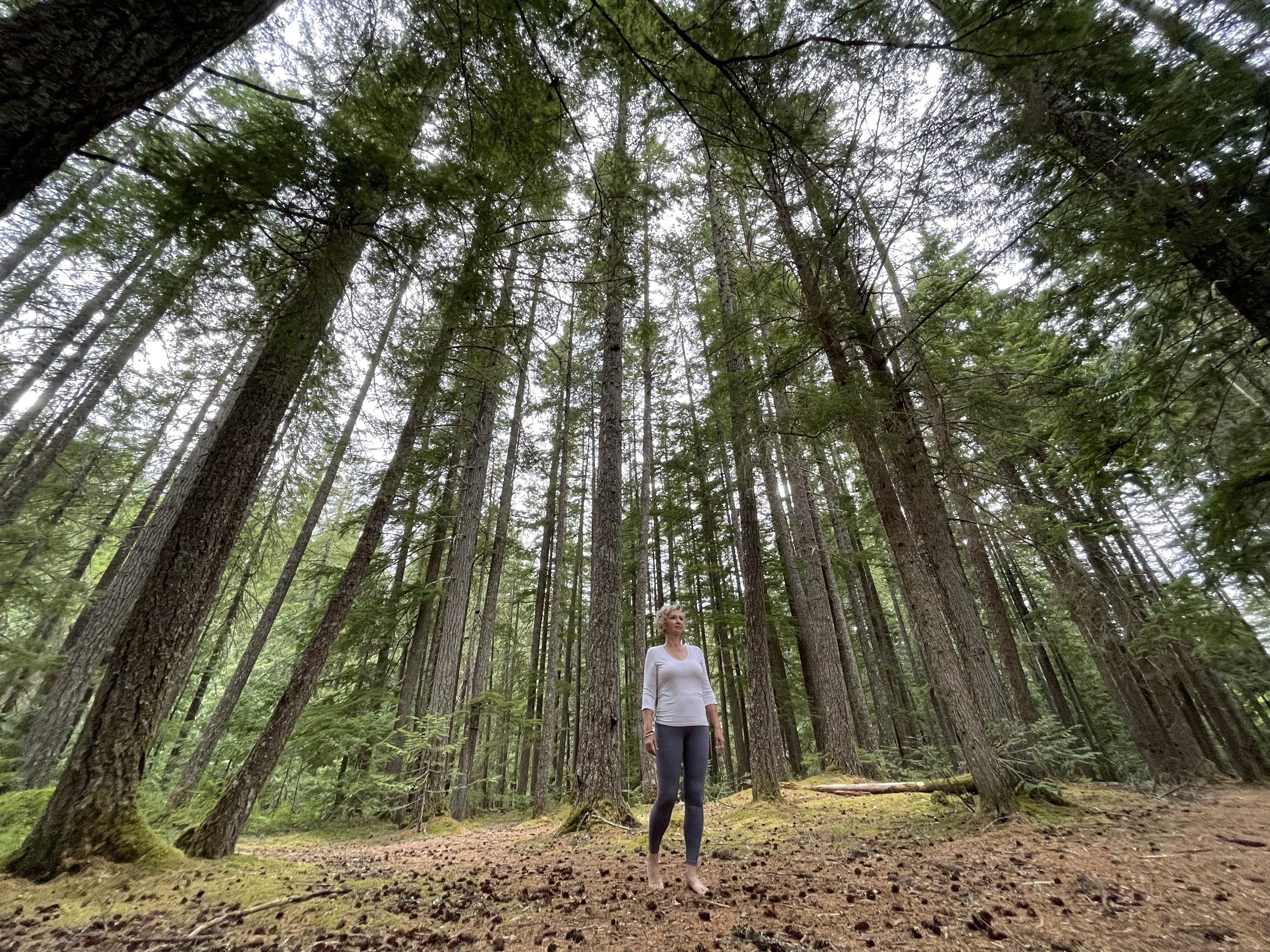 Barbara Hurst Yoga Teacher Vancouver Canada
