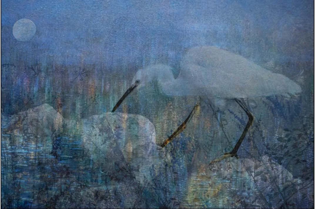 Diane Epstein — POINT RICHMOND GALLERY