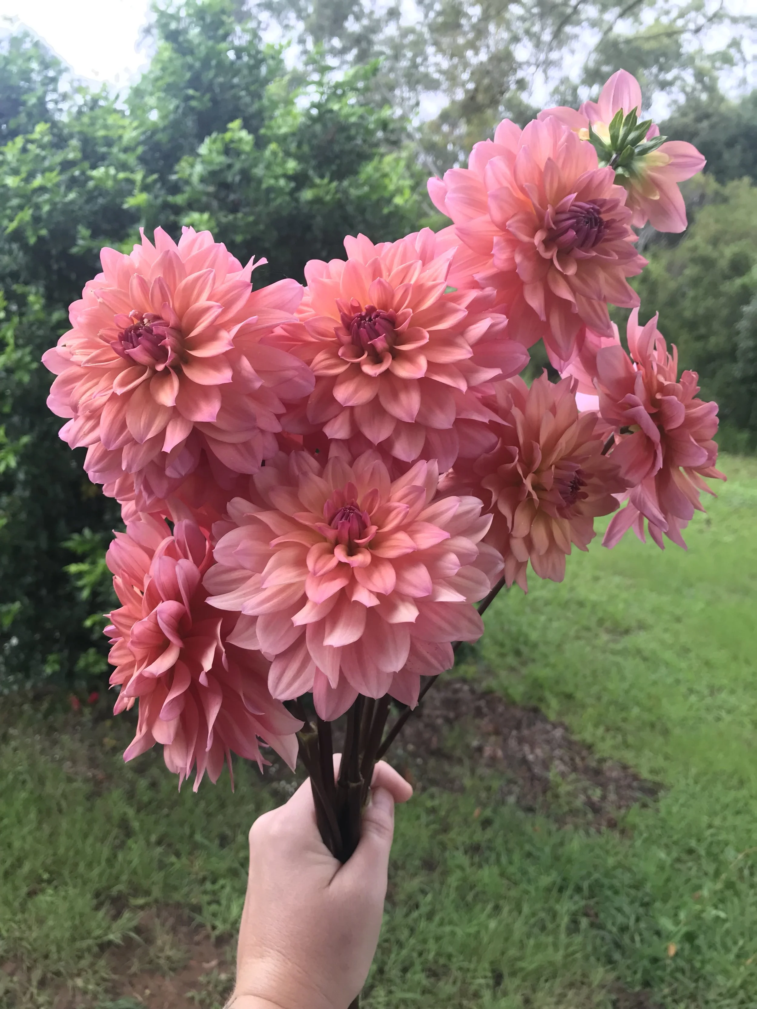 Store 2 — BLUE GUM VALLEY FARM