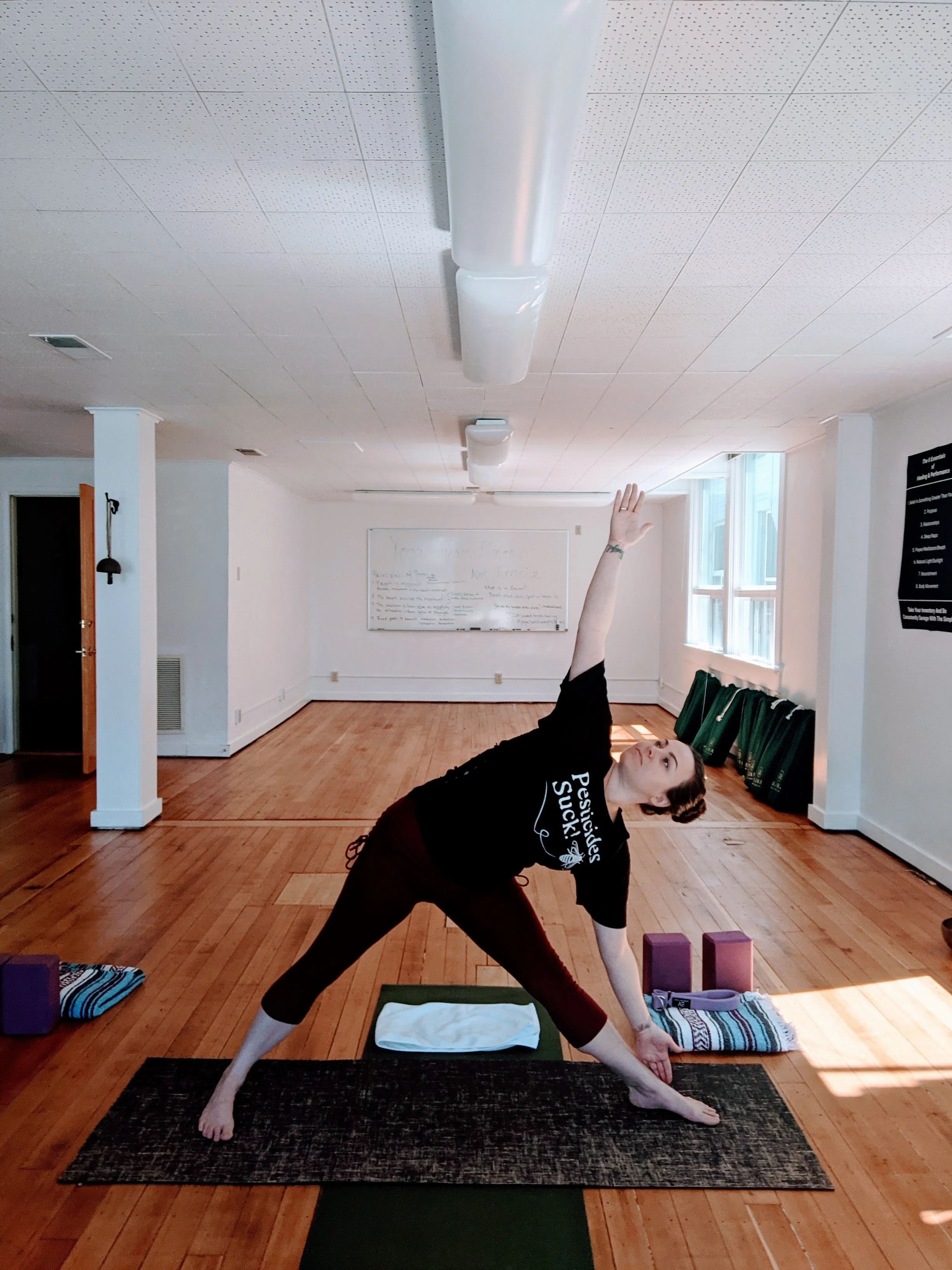 Yoga — Sacred Temple Healing