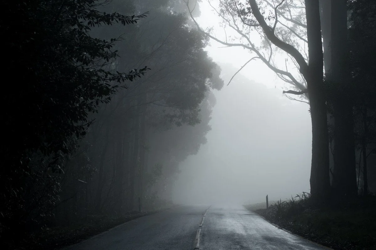 The Right One to Rescue – by Sharon Kent | Australian Literary Arts Magazine | ISLAND