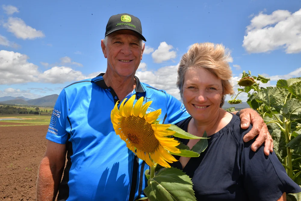 Media — Kalbar Sunflowers