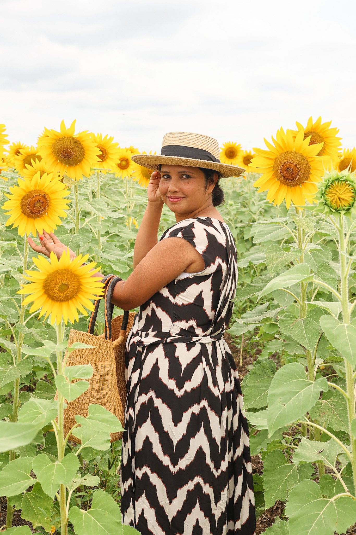 Accessibility — Kalbar Sunflowers