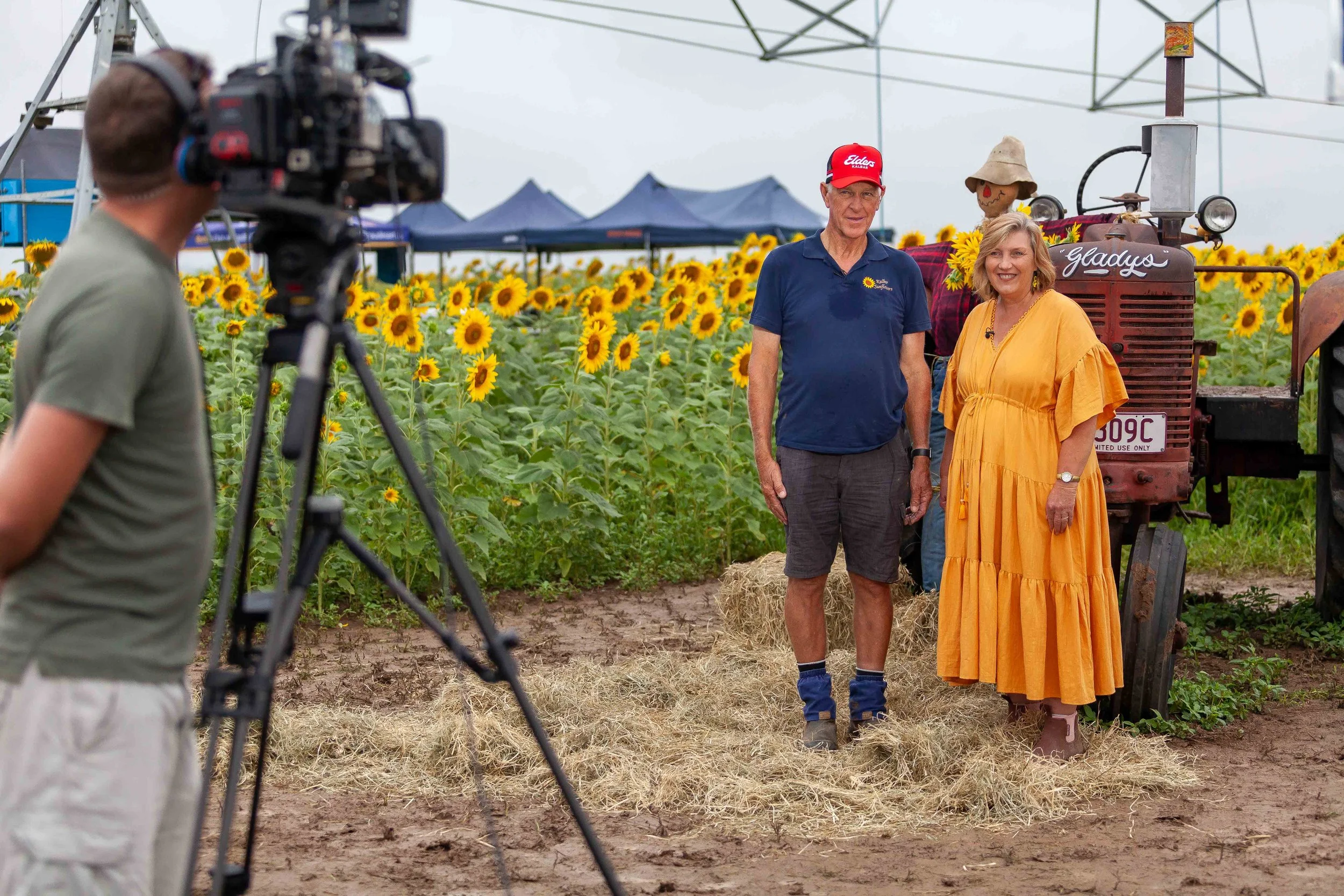 Media — Kalbar Sunflowers