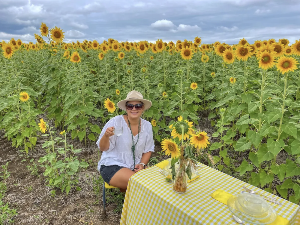 Media — Kalbar Sunflowers