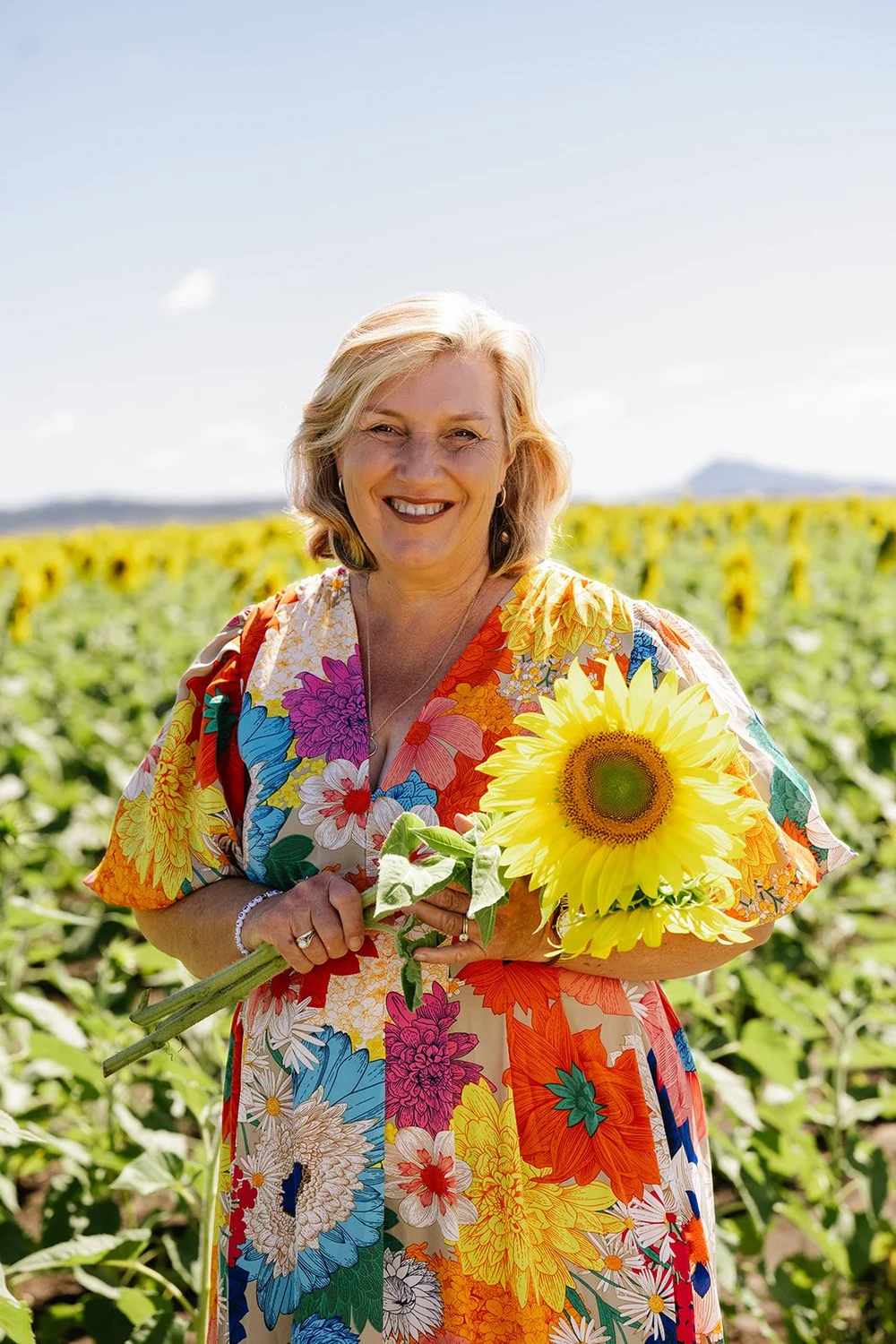 Kalbar Sunflowers