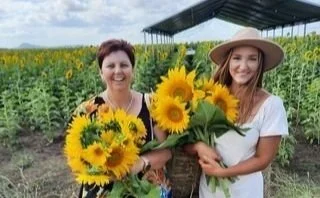 Experiences — Kalbar Sunflowers