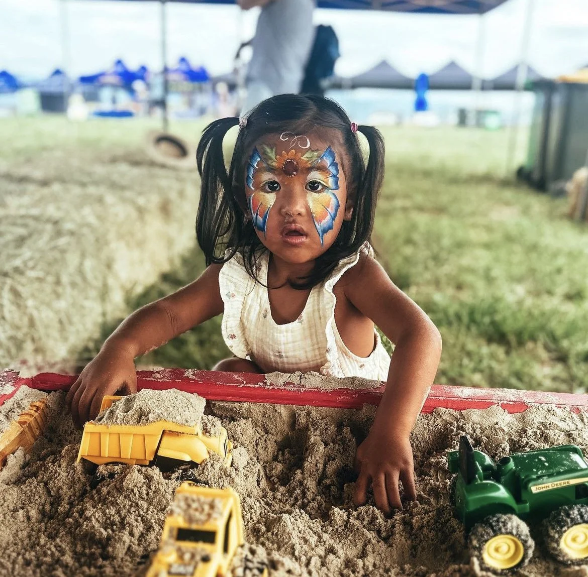 Experiences — Kalbar Sunflowers