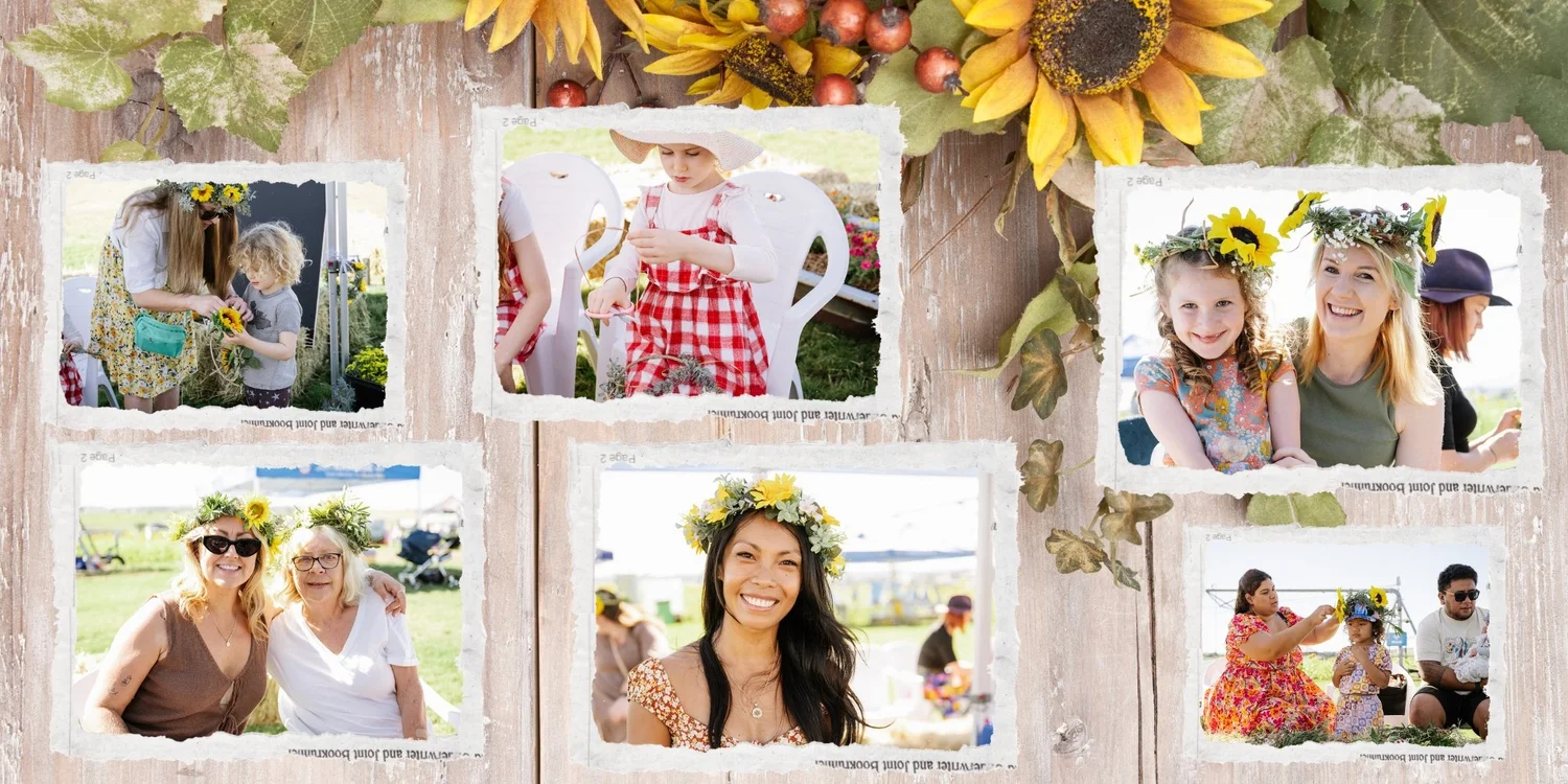 Experiences — Kalbar Sunflowers