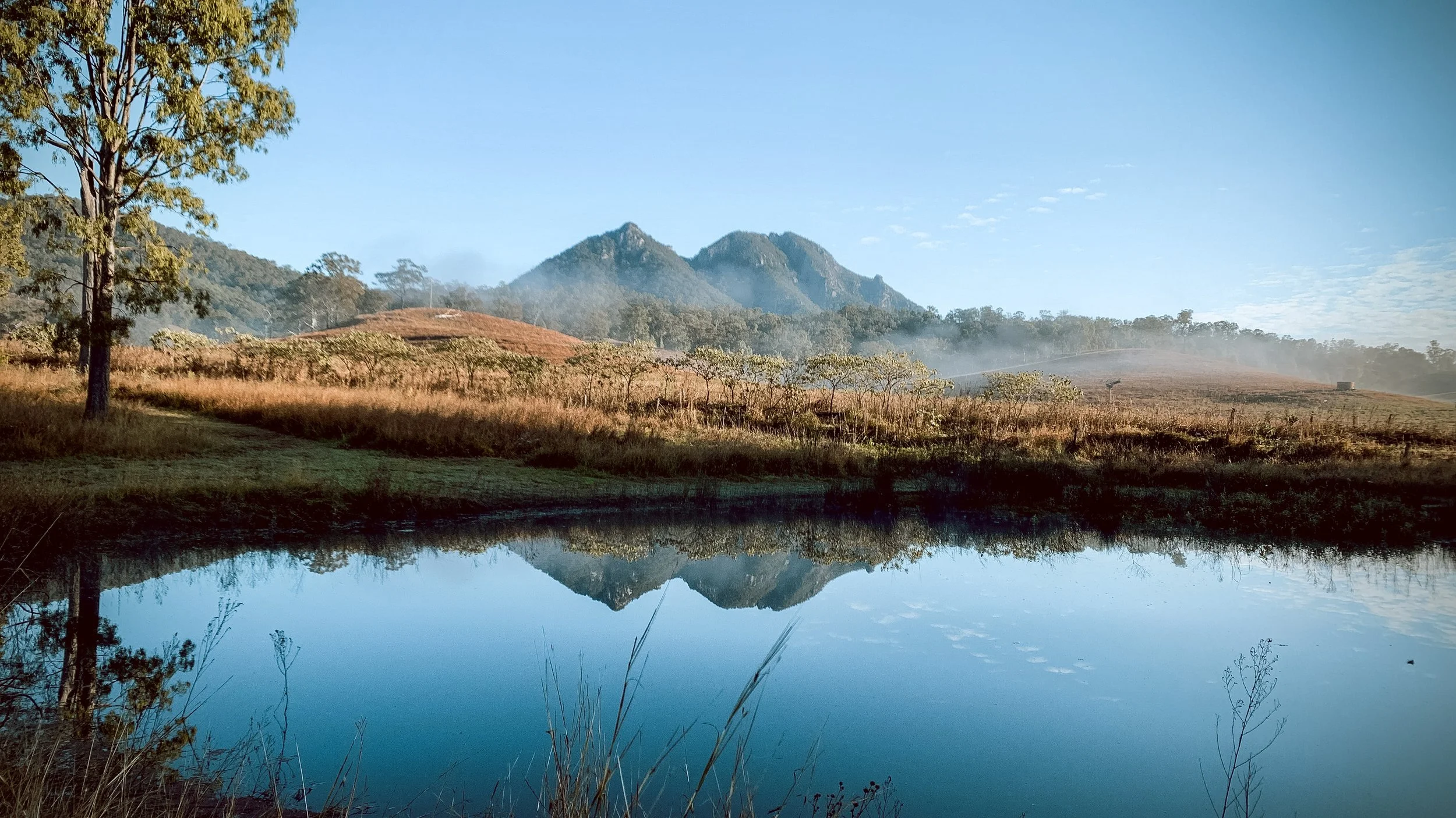 Accommodation — Kalbar Sunflowers