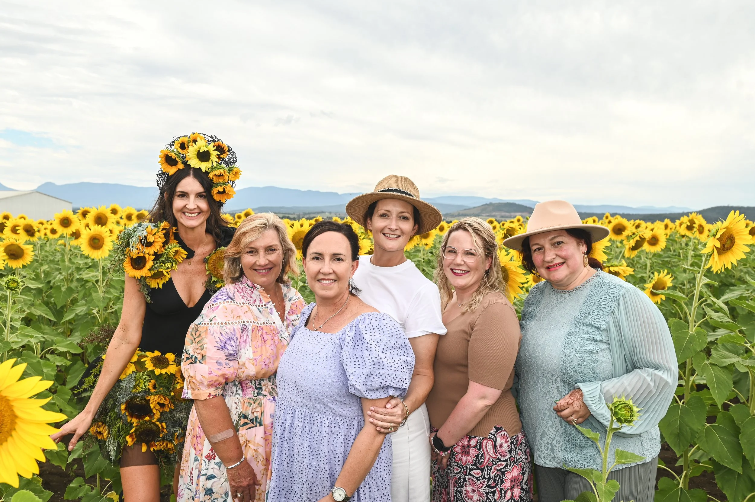 Experiences — Kalbar Sunflowers