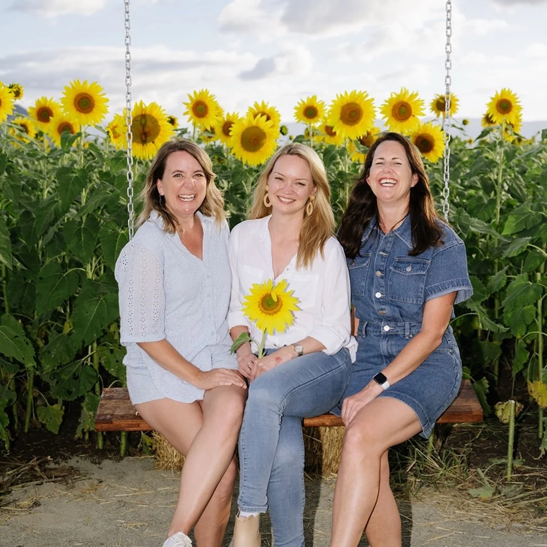 Kalbar Sunflowers