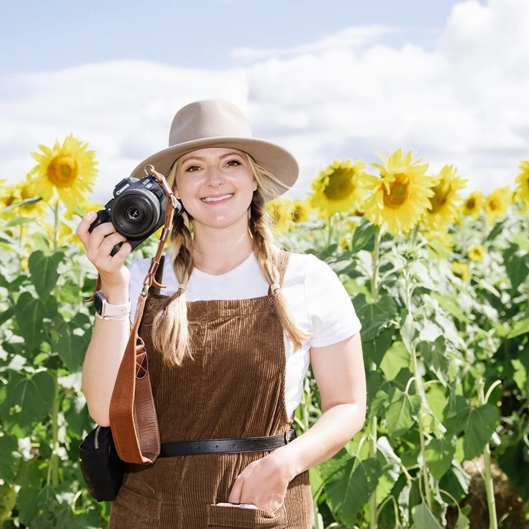 Kalbar Sunflowers