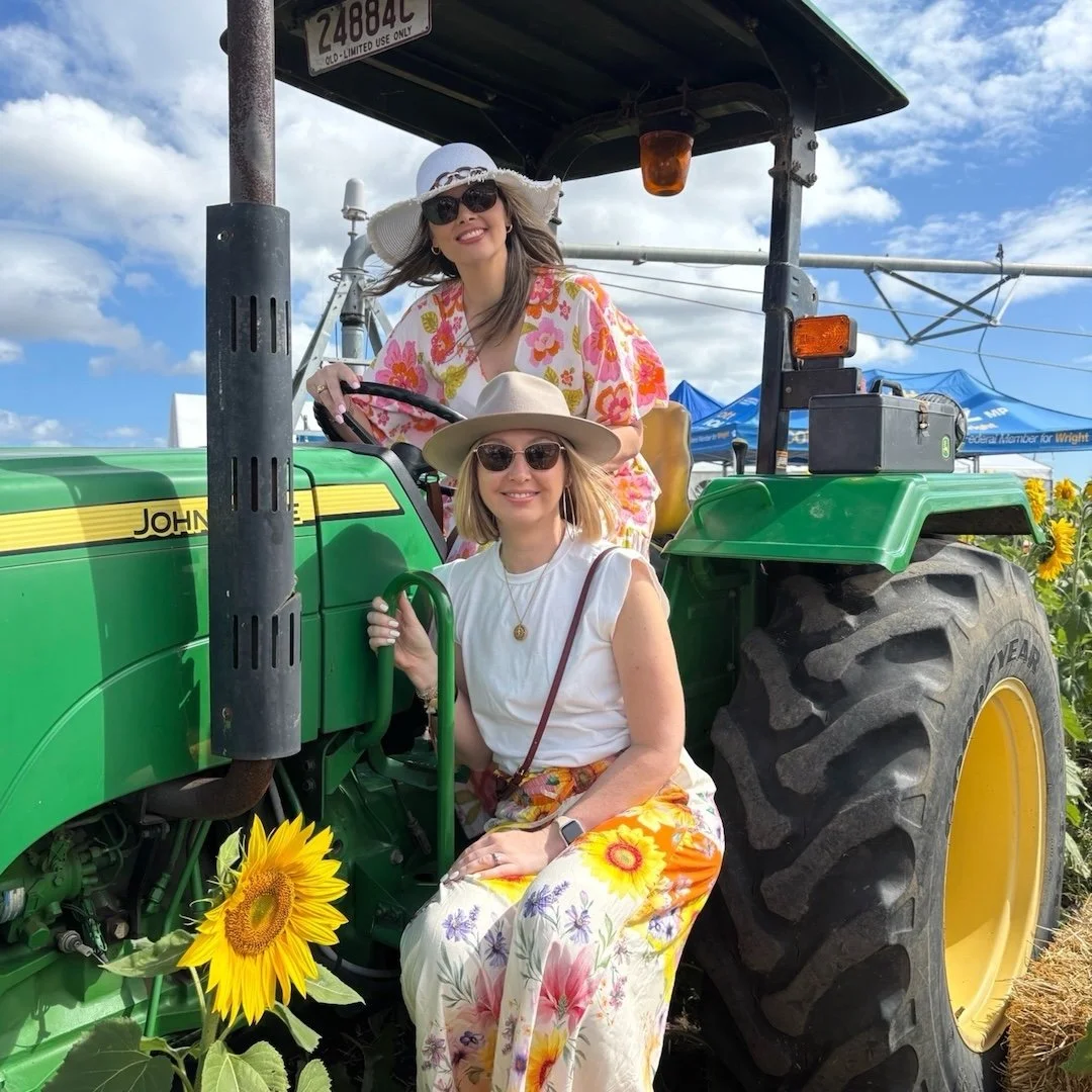 Kalbar Sunflowers