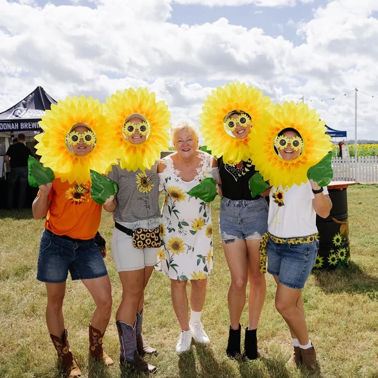 Kalbar Sunflowers