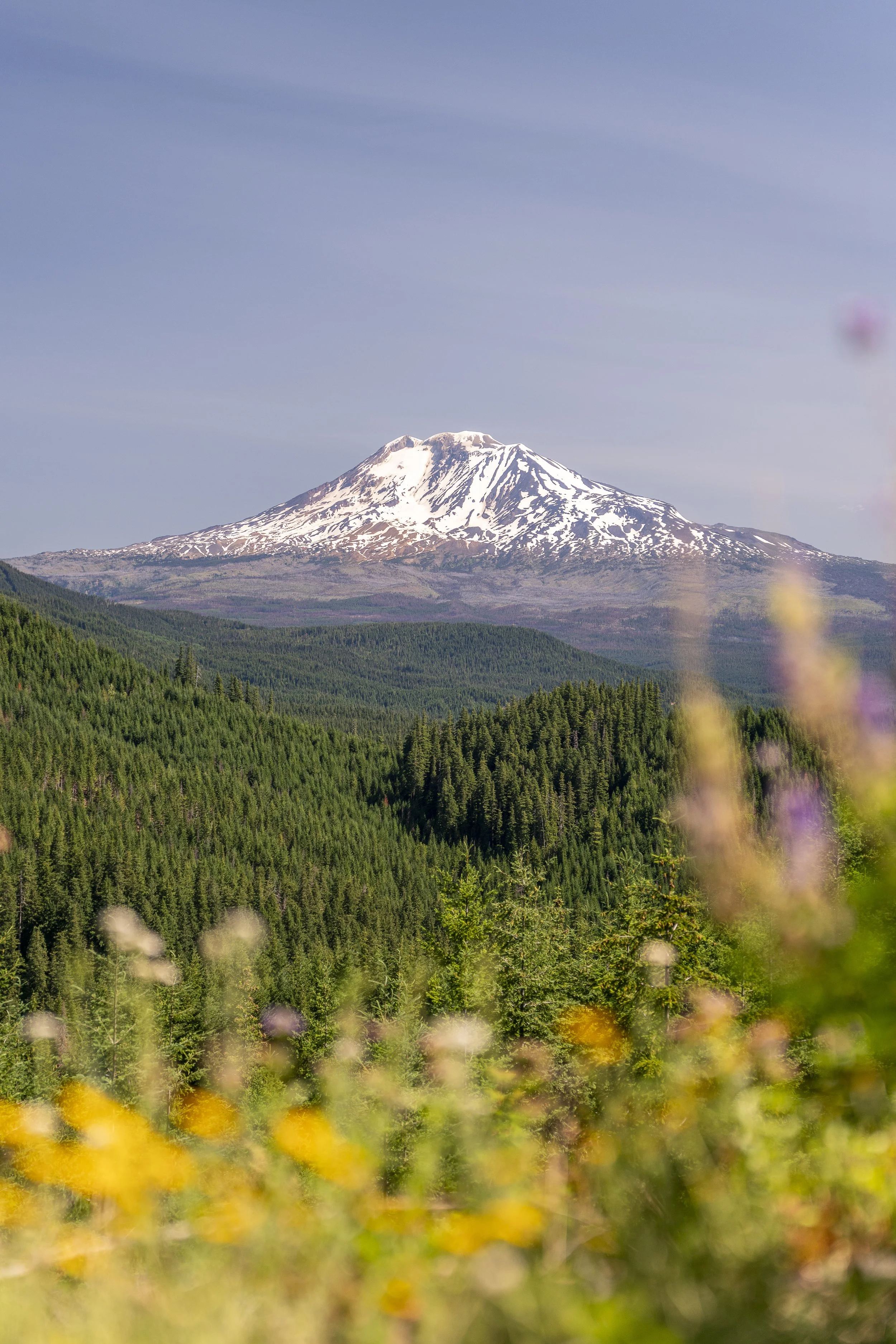 Driving the Washington Backcountry Discovery Route (WABDR) — Dirt ...