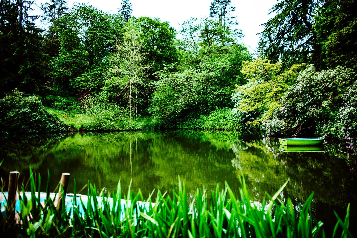 About — The Powis Arms