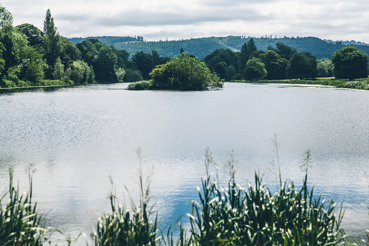 About — The Powis Arms