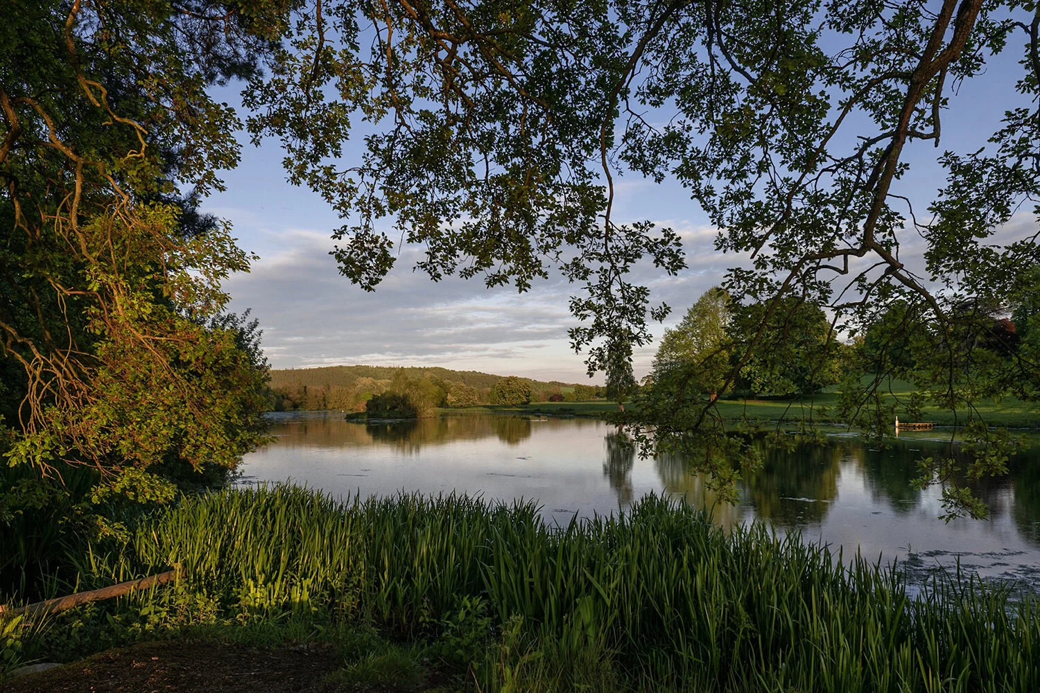 Stay — The Powis Arms