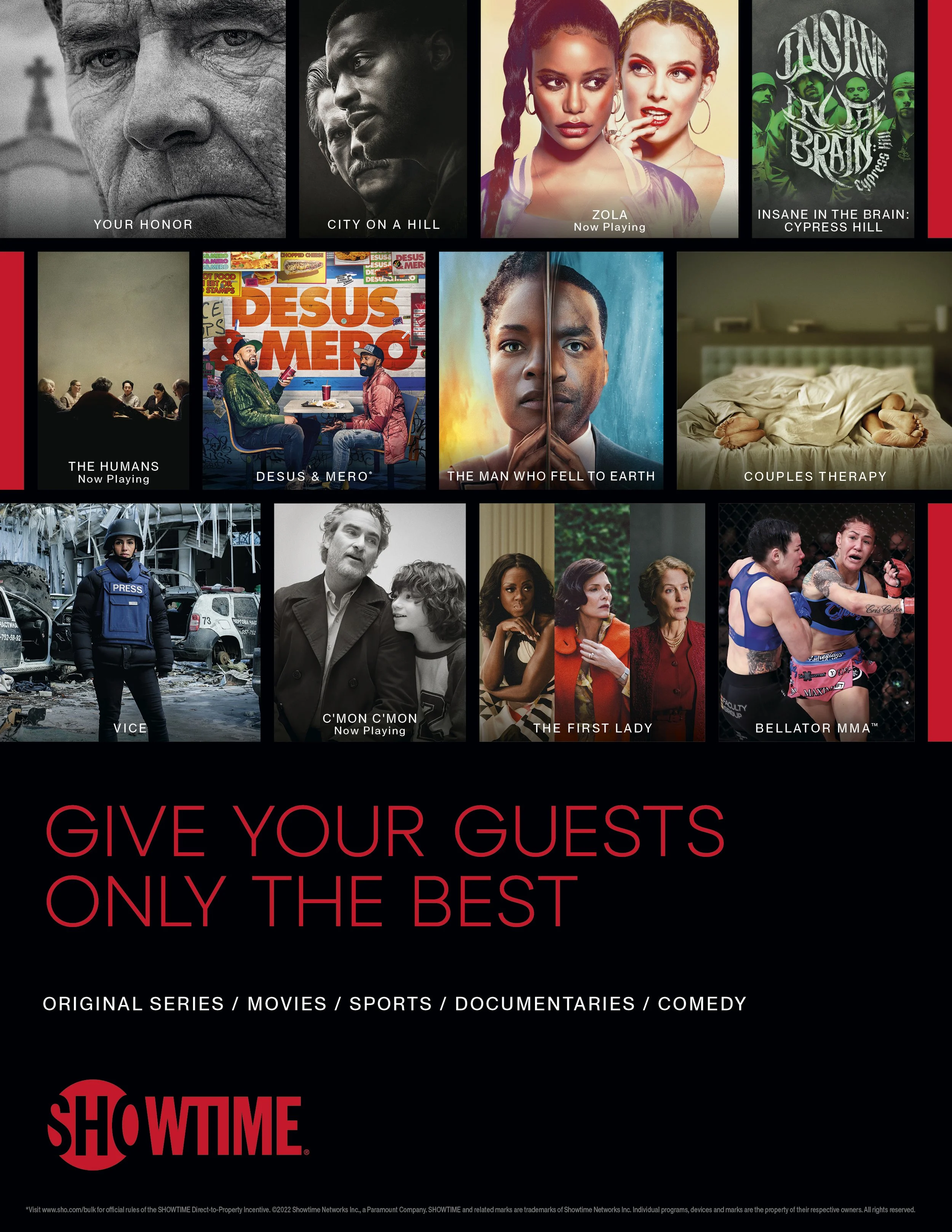 Showtime Brand Refresh — Taylor Stokes