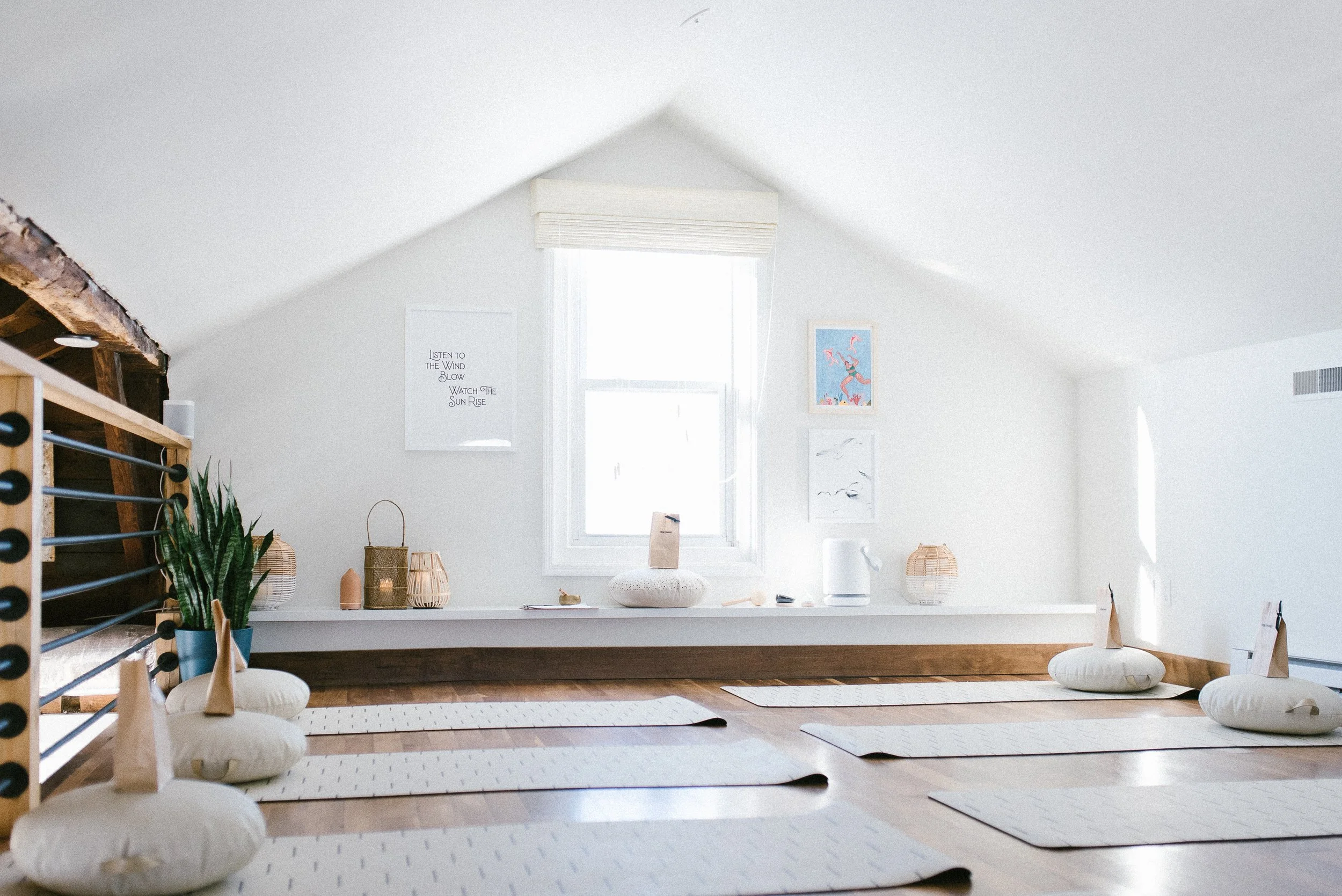 Pause + Purpose — Introduction to Pause + Purpose