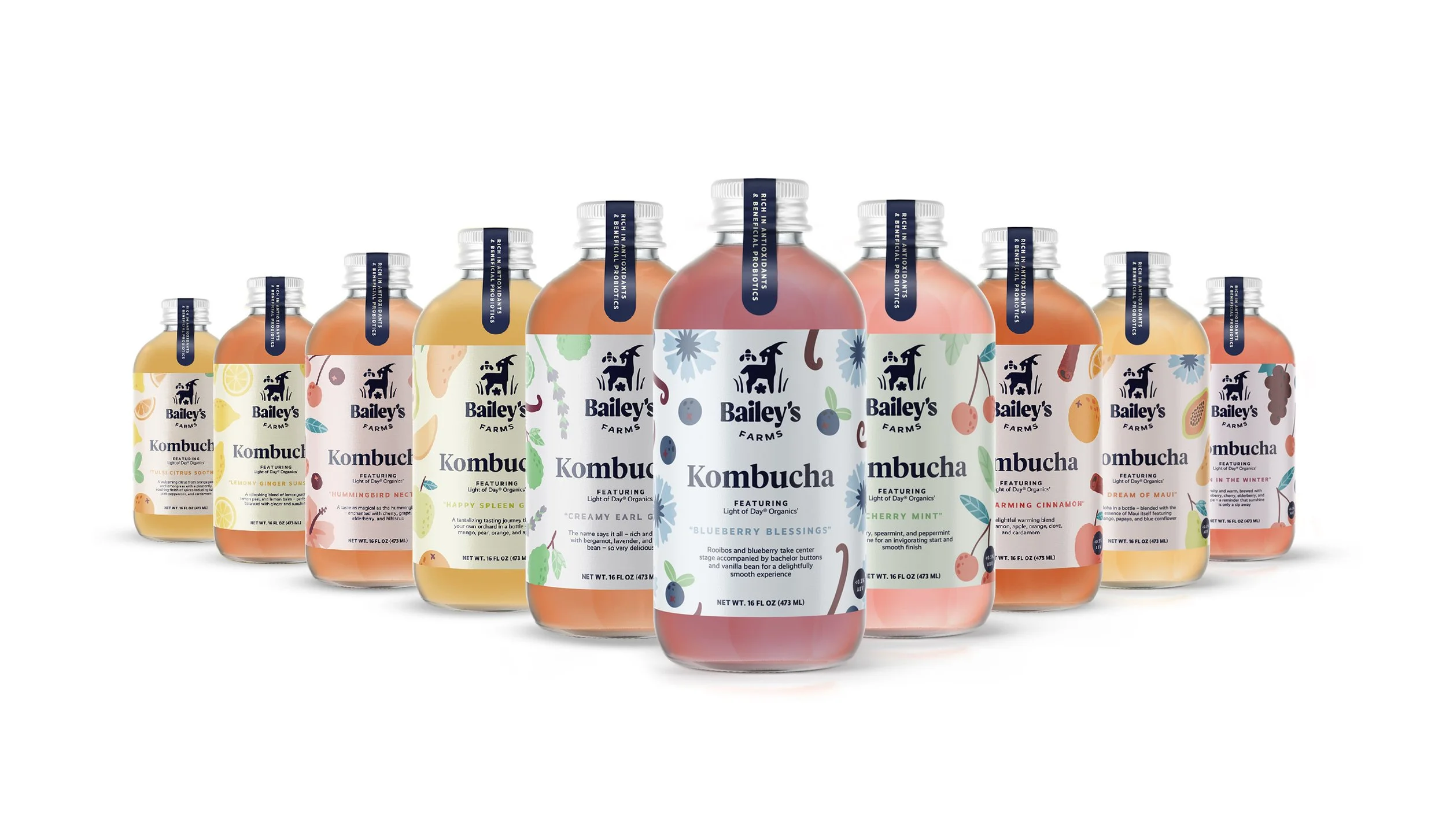 Case of Kombucha — Bailey's Farms